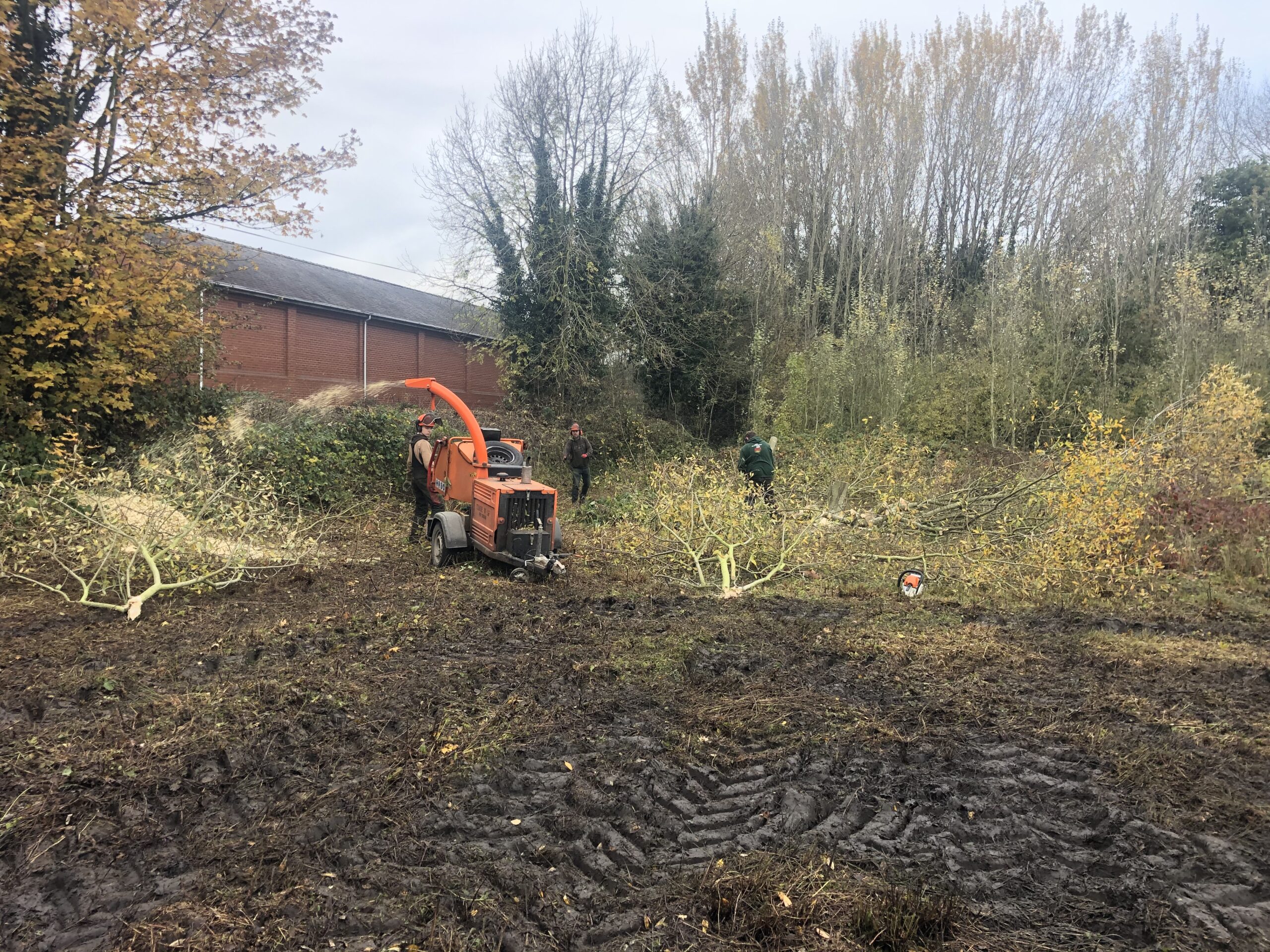 Home - Adrian Morrison and Son